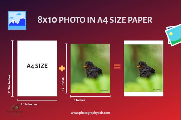 How Big Is An 8 10 Photo Inch Cm Mm Ft Pixels PhotographyAxis