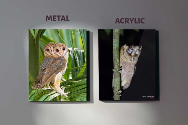 Acrylic Vs Metal Prints-14 Key Differences - PhotographyAxis