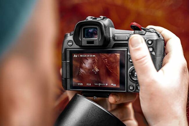 Back Button Focus – What, How, Why, & When to Use It? - PhotographyAxis