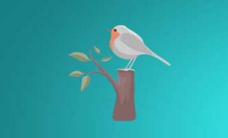 Selective Focus in Photography- How & When to Use It? - PhotographyAxis