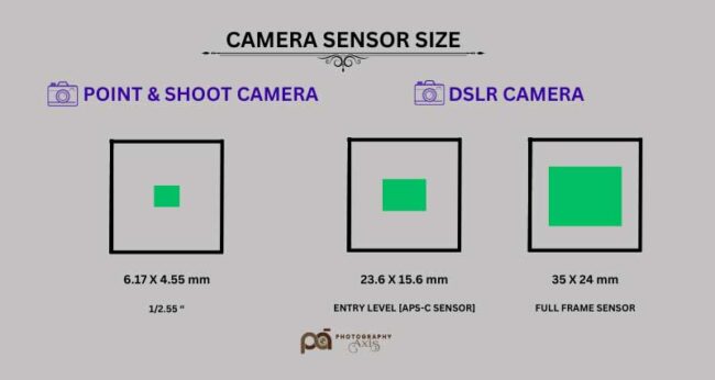 DSLR Vs Point and Shoot Camera- Which is Better in 2024? - PhotographyAxis