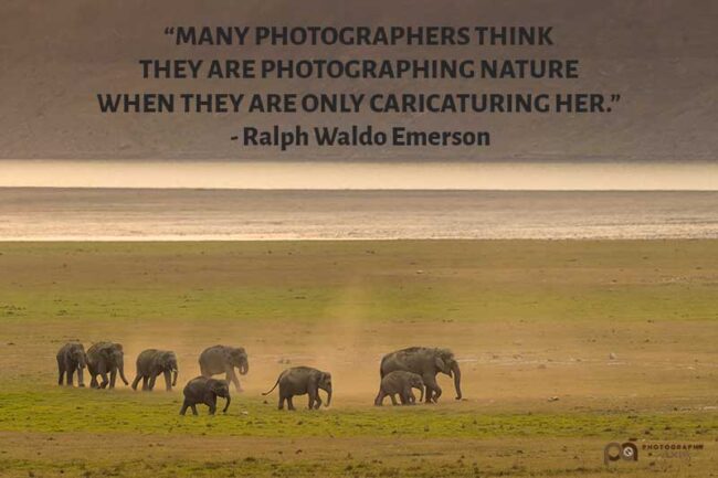 101 Best Nature Photography Quotes & Captions to Inspire You ...