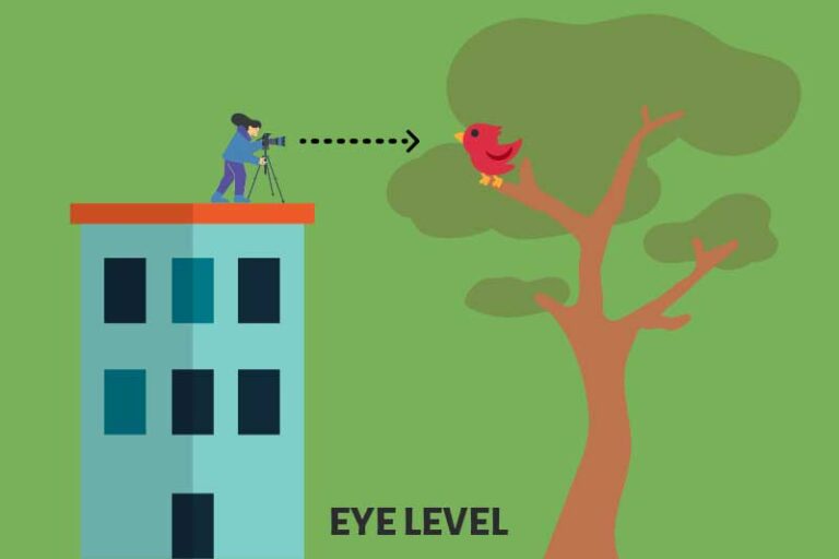 Eye Level Photography – How It Helps to Improve Images? - PhotographyAxis