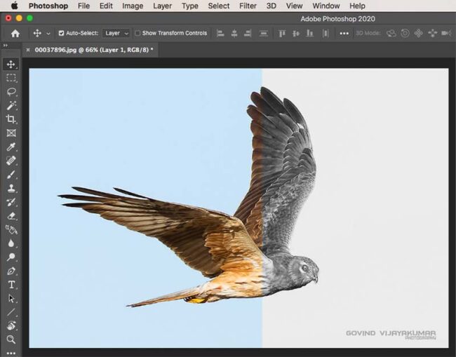 How to Crop a Layer in Photoshop – 3 Best Methods - PhotographyAxis