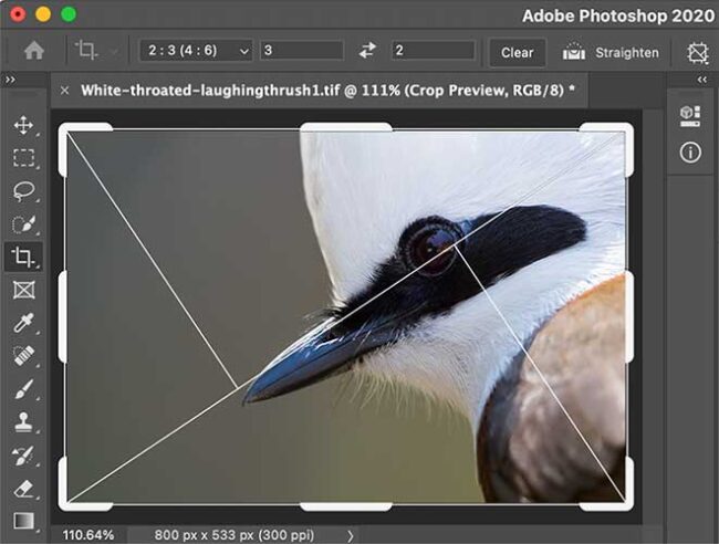 Golden Triangle Photography Composition- Complete Guide - PhotographyAxis