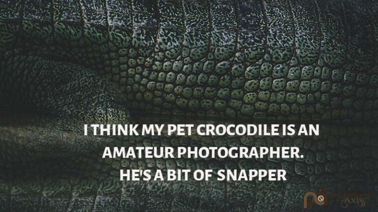 35 Hilarious Photography Puns [ Photography Jokes] with Pictures ...