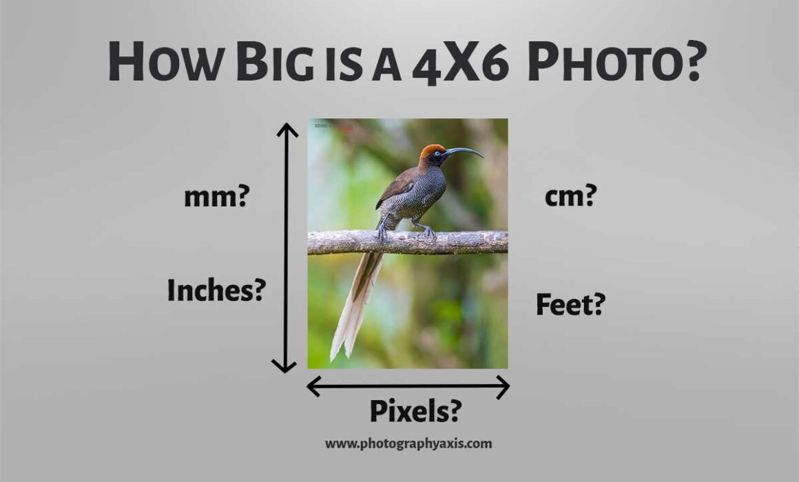 How Big Is A 4 6 Photo Inch Cm Mm Ft Pixels PhotographyAxis