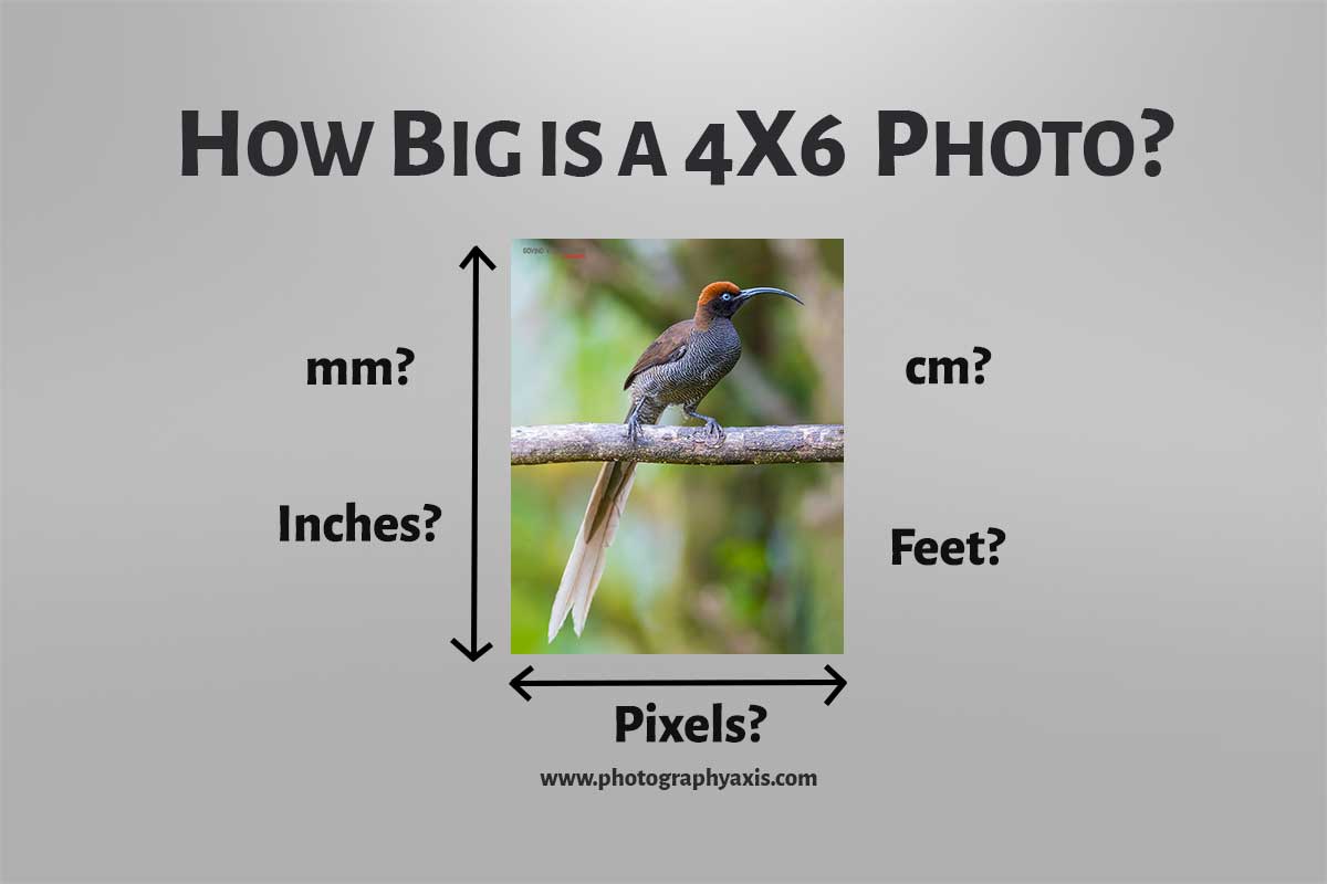 How Big Is A 4 6 Photo Inch Cm Mm Ft Pixels PhotographyAxis