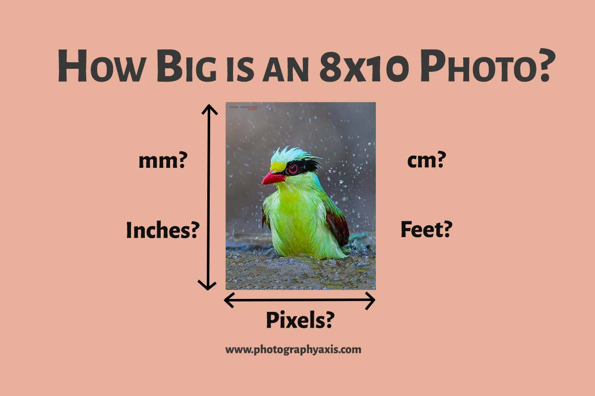 How Big Is An 8 10 Photo Inch Cm Mm Ft Pixels PhotographyAxis