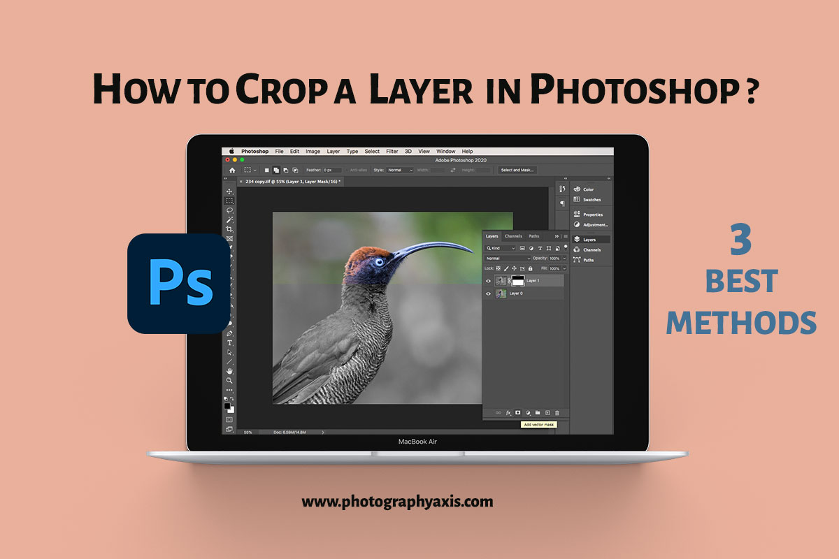 How To Crop A Layer In Photoshop 3 Best Methods PhotographyAxis