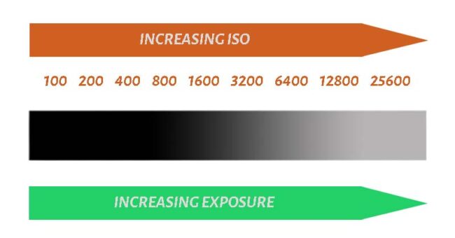 ISO Chart (Image Noise Chart) & How to Use It? - PhotographyAxis