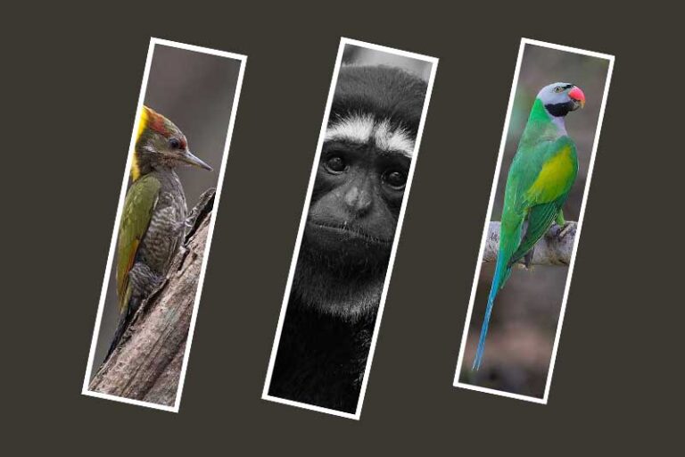 10 Creative Ideas To Repurpose Photos - PhotographyAxis