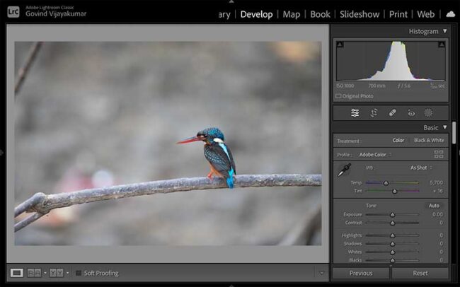 Easy Way to Find & Remove Dust Spots in Lightroom - PhotographyAxis
