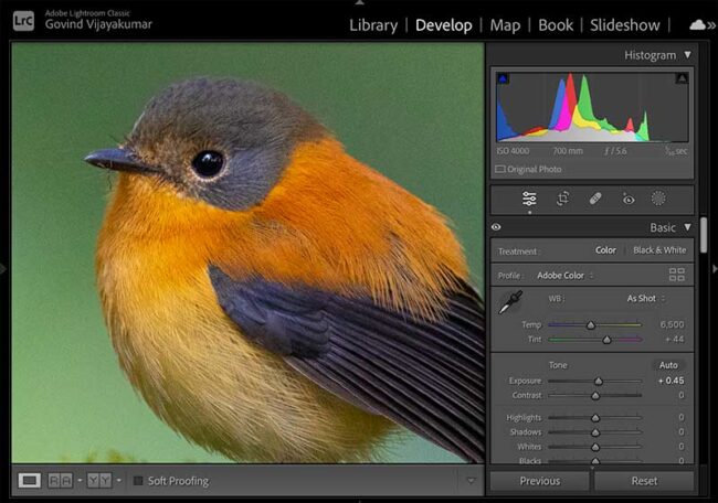 Lightroom Denoise AI – Is It Really Good?[Full Tutorial+Review ...