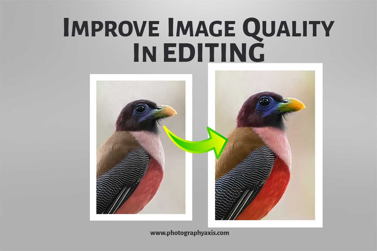 A 9-Step Guide To Improve Image Quality In Post-Production ...