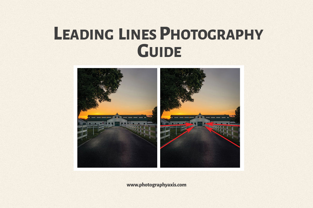Leading Lines Photography Composition Guide - PhotographyAxis