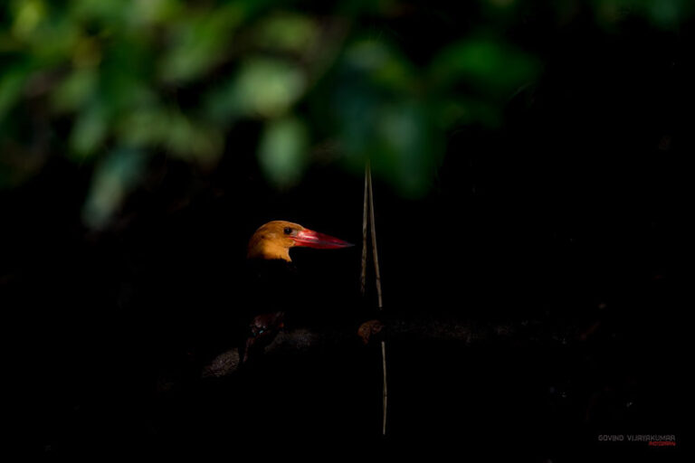 33 Photography Composition Techniques To Master| Complete Guide ...