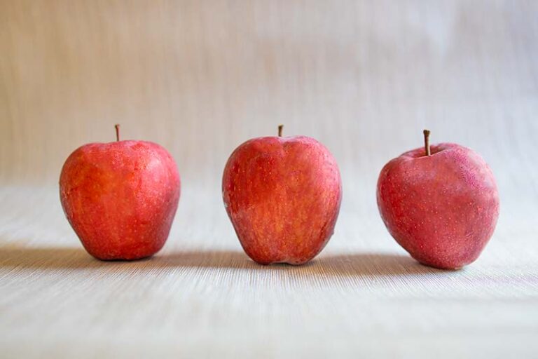 Rule of Odds in Photography - PhotographyAxis