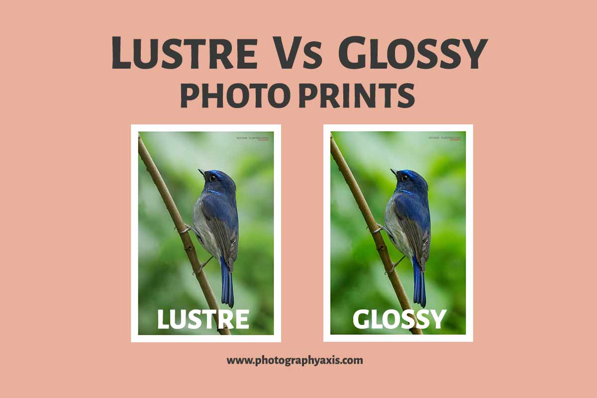 Lustre Vs Glossy Which Is Best For Photo Prints PhotographyAxis