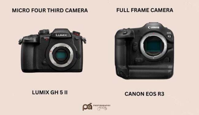 Micro Four Thirds Vs Full Frame Camera- Which is Better for Photo ...