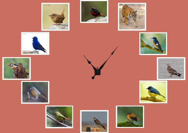 19 Creative Ways To Display Photos [Tried & Tested] - PhotographyAxis