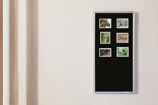19 Creative Ways To Display Photos [Tried & Tested] - PhotographyAxis