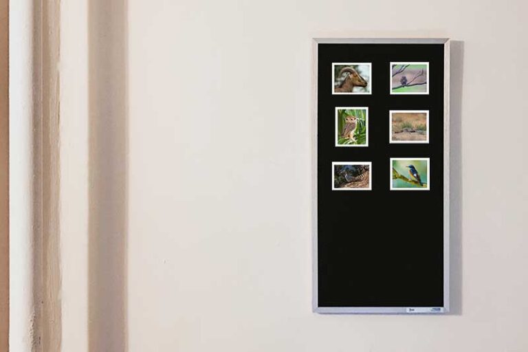 19 Creative Ways To Display Photos [Tried & Tested] - PhotographyAxis