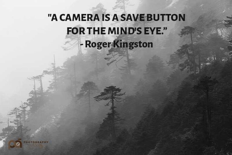 101 Best Nature Photography Quotes & Captions to Inspire You ...