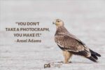 101 Best Nature Photography Quotes & Captions to Inspire You ...