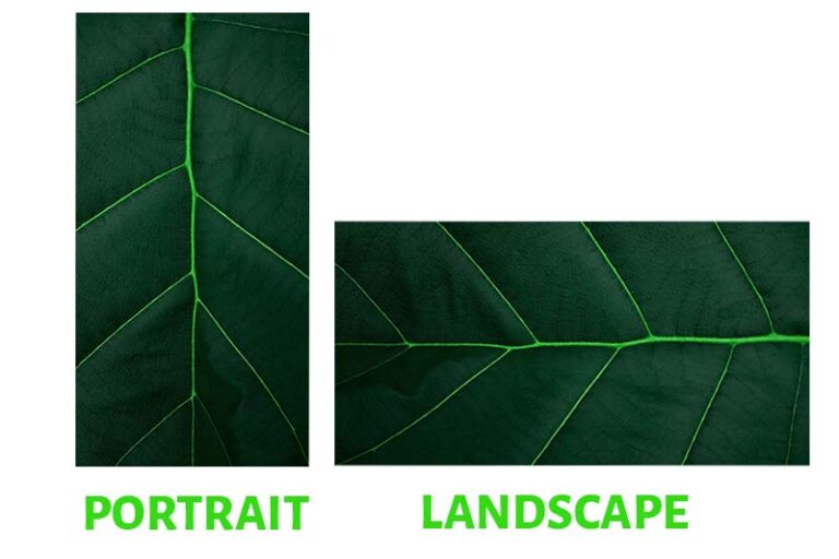 Texture in Photography – How to Use it to Your Advantage? - PhotographyAxis