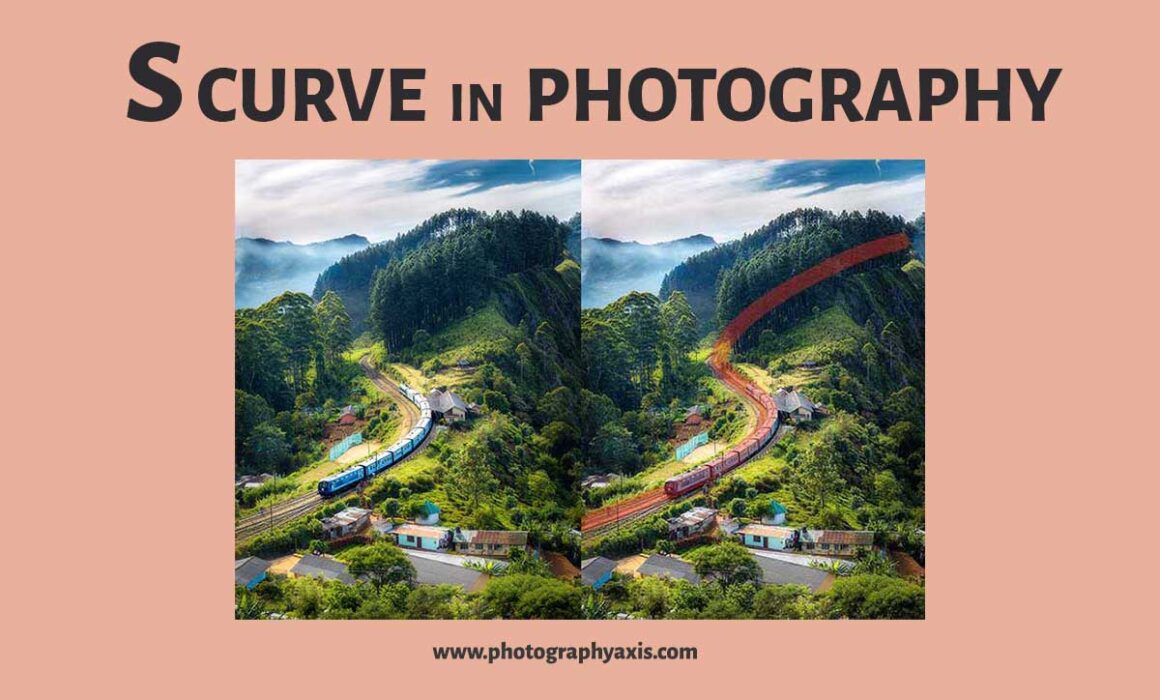 S Curve In Photography How To Compose Using This Rule PhotographyAxis