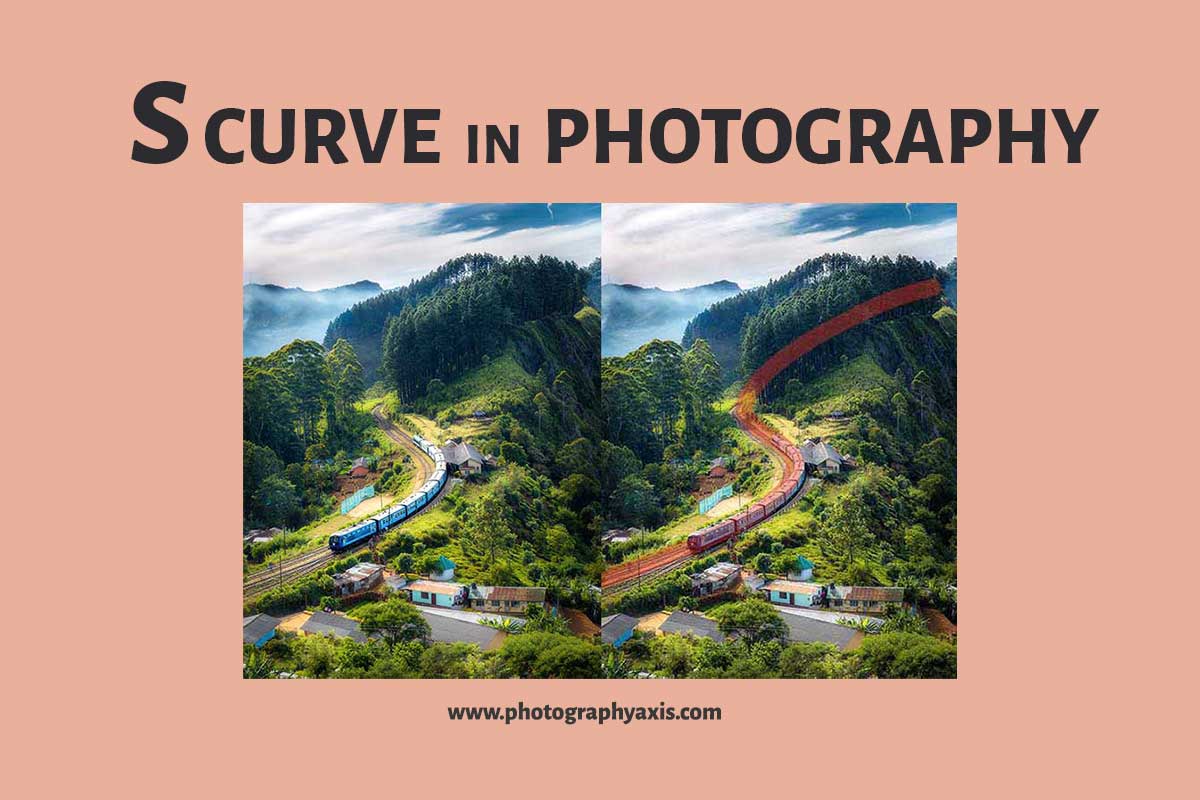 S Curve In Photography How To Compose Using This Rule PhotographyAxis