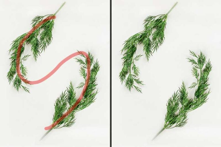 Flat Lay Photography – Complete Guide+ 12 Pro Tips - PhotographyAxis