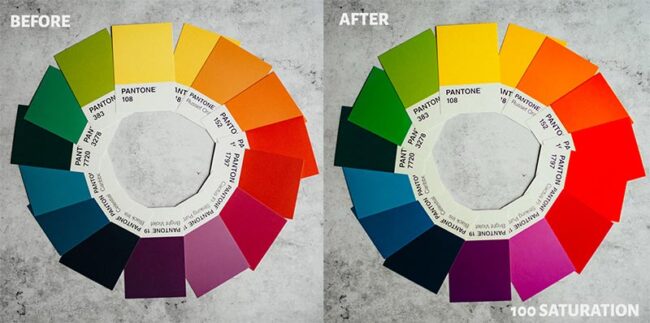 Vibrance vs Saturation in Photography – The Key Differences ...