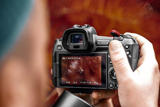 10 Essential Camera Functions for Beginners - PhotographyAxis