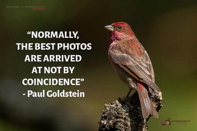 101 Best Nature Photography Quotes & Captions to Inspire You ...