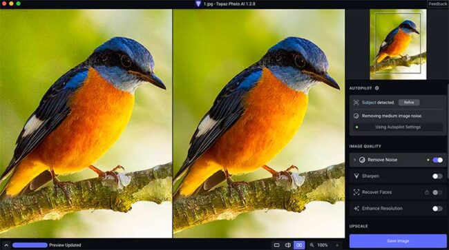 Topaz Photo AI Review with Before/After Images[2024] - PhotographyAxis
