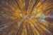 Worms Eye View Photography - How, What & Tips - PhotographyAxis