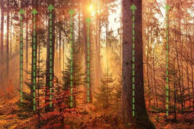 9 Types of Lines in Photography Composition+How to Use It ...