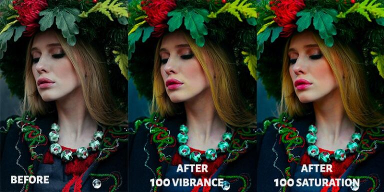 Vibrance vs Saturation in Photography – The Key Differences ...