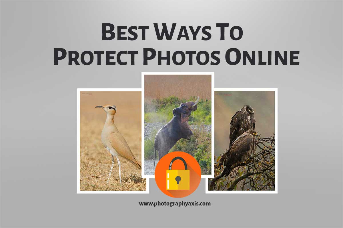 12 Best Ways to Protect Your Photos Online - PhotographyAxis