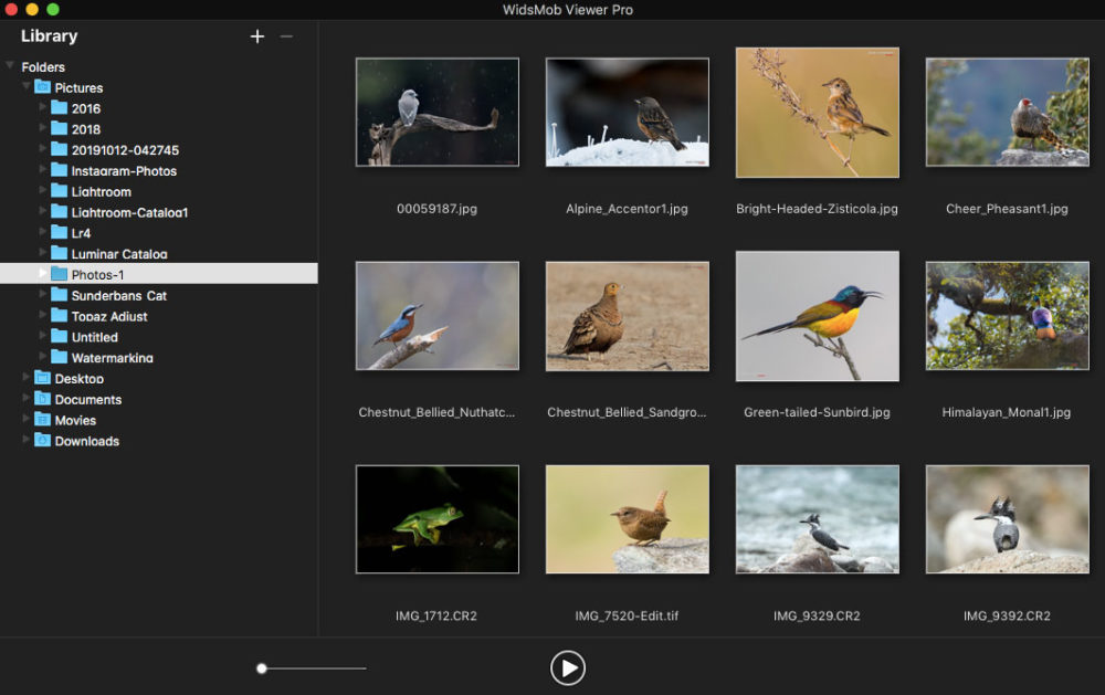 WidsMob Viewer Pro Review- Is it the Best Mac Photo Viewer ...