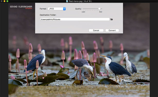 WidsMob Viewer Pro Review- Is it the Best Mac Photo Viewer ...