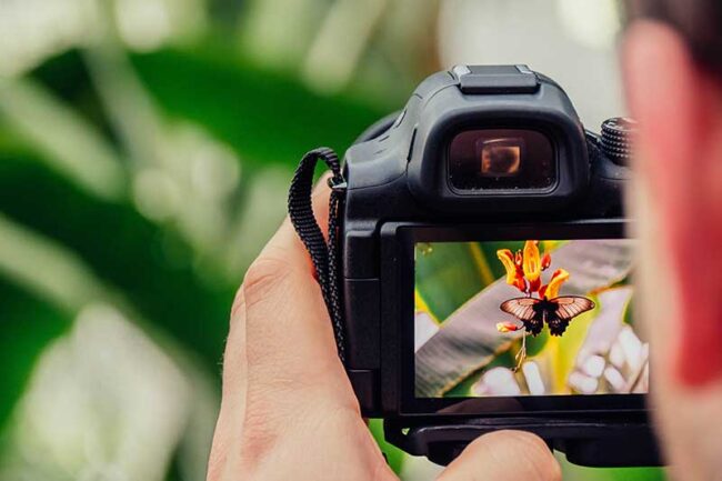 10 Essential Camera Functions for Beginners - PhotographyAxis