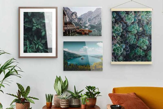 Paper vs Canvas Photo Prints – Which is Best? - PhotographyAxis