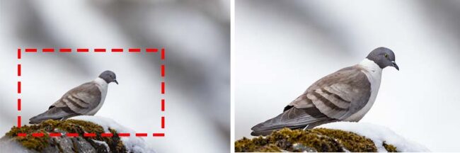 Emphasis in Photography – 13 Proven Techniques To Show It - PhotographyAxis