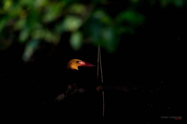 Emphasis in Photography – 13 Proven Techniques To Show It - PhotographyAxis