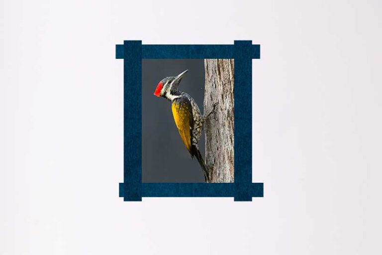 19 Creative Ways To Display Photos [Tried & Tested] - PhotographyAxis