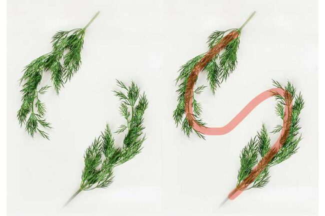 S curve in Photography- How to Compose Using this Rule? - PhotographyAxis