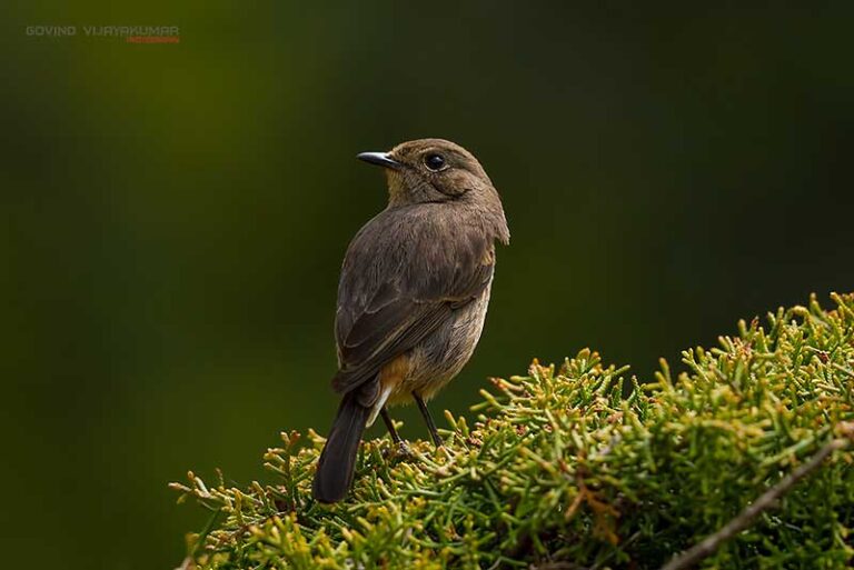 Emphasis in Photography – 13 Proven Techniques To Show It - PhotographyAxis